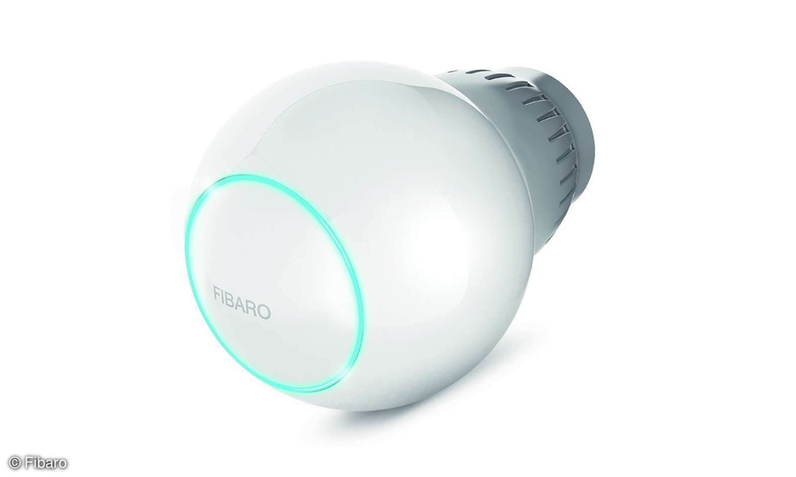 Fibaro Heat Controller: Z-Wave Heizungssteuerung - connect