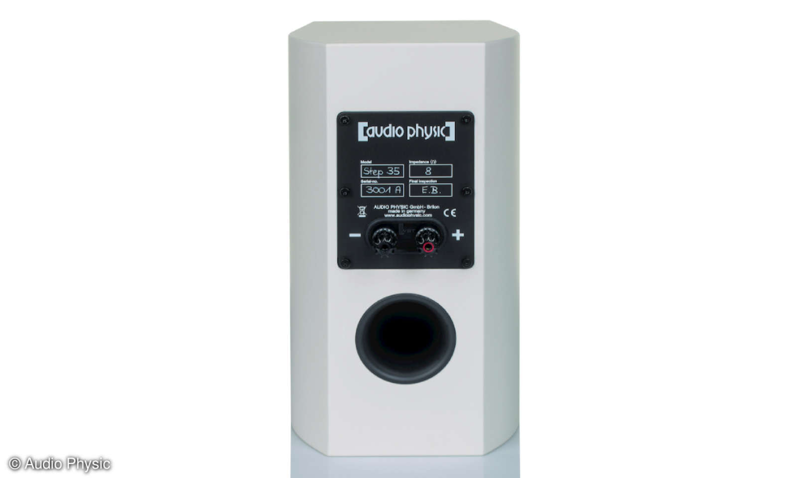 Audio Physic Step 35 im Test - connect