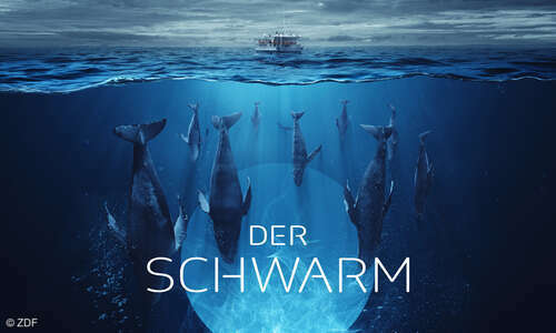 Mega-Bestseller „Der Schwarm“ kommt als TV-Serie im ZDF - connect