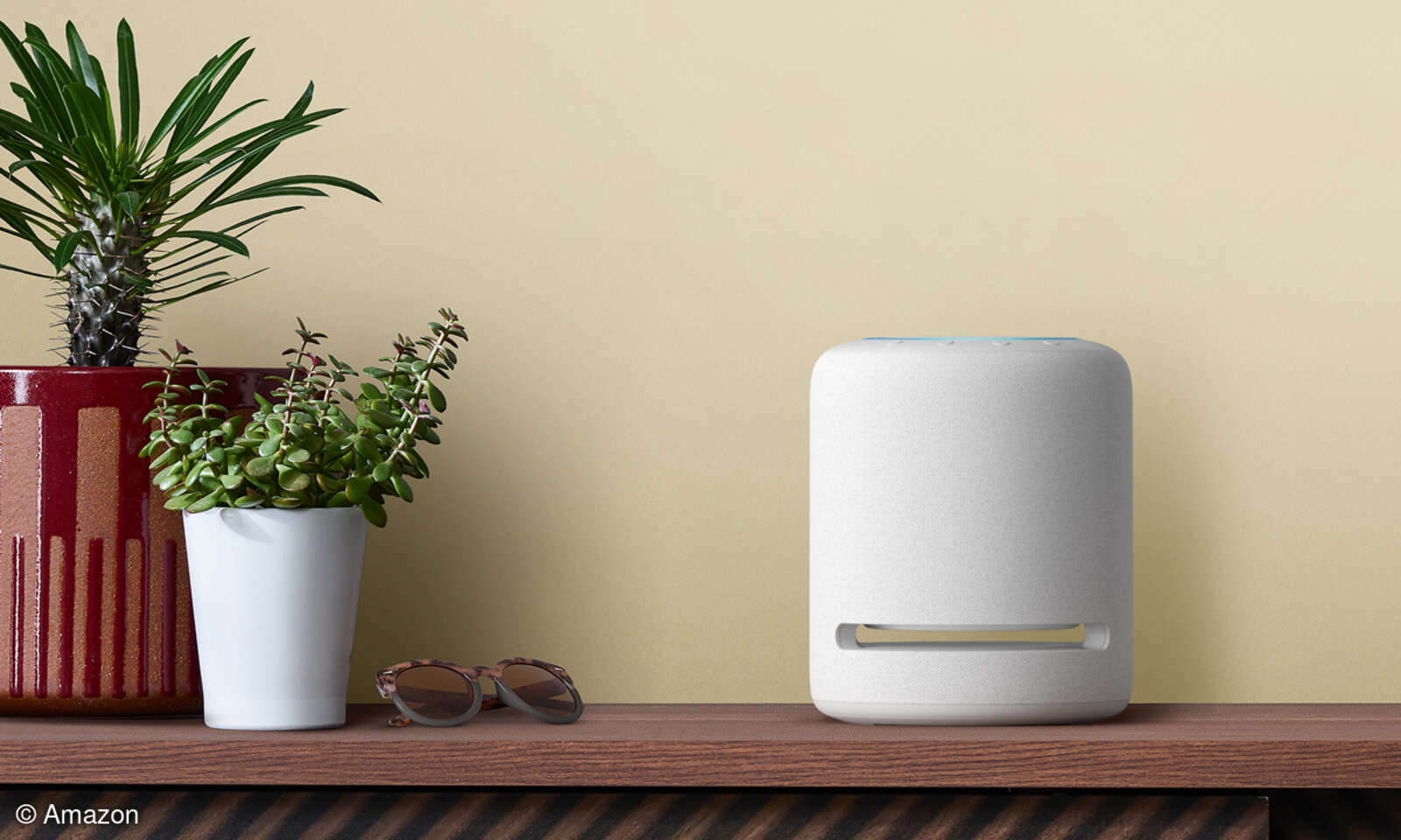 Amazon Echo Studio, Echo Dot 5 & Echo Dot Kids im Test - connect