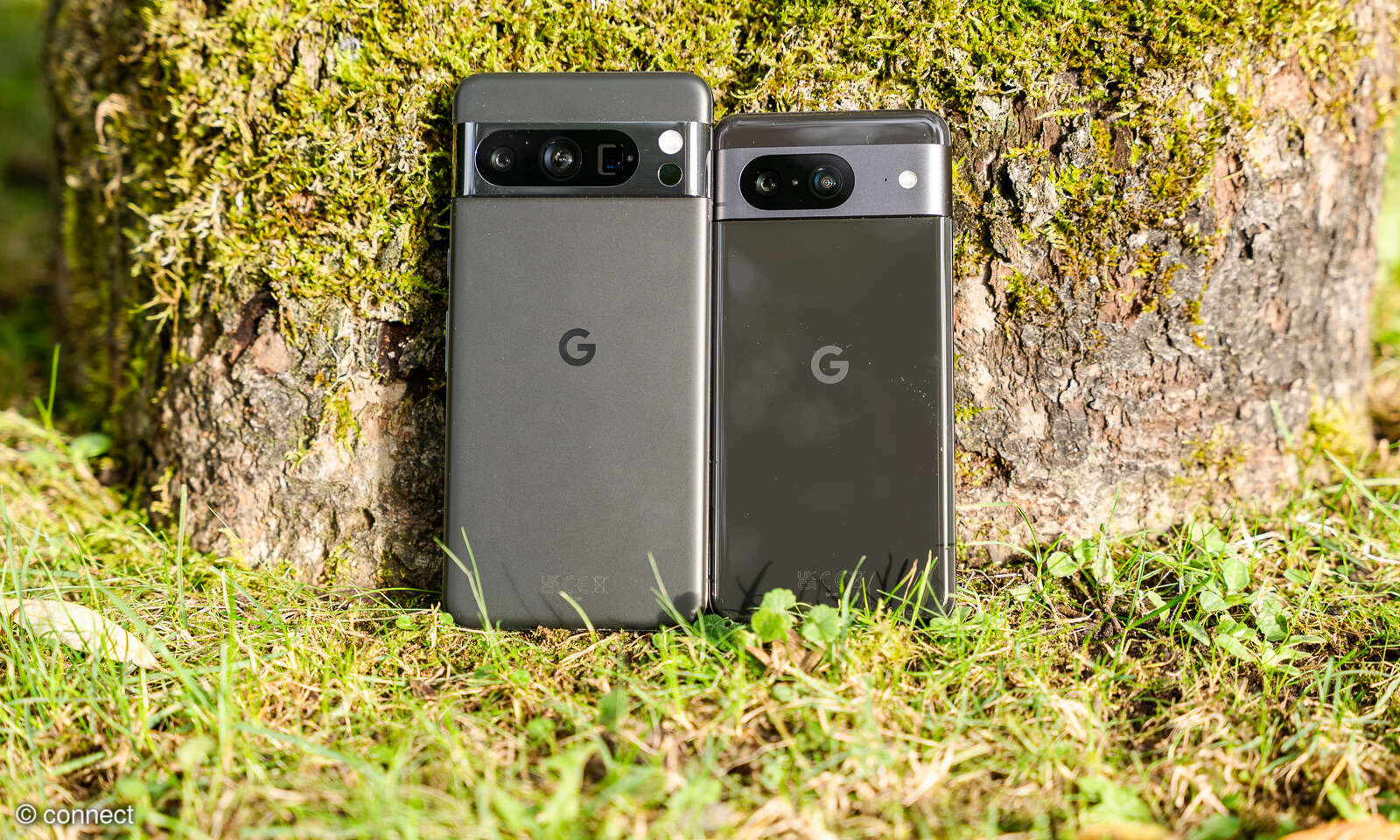 Google Pixel 8 (Pro) im Test: KI-Phone mit der besten Kamera - connect