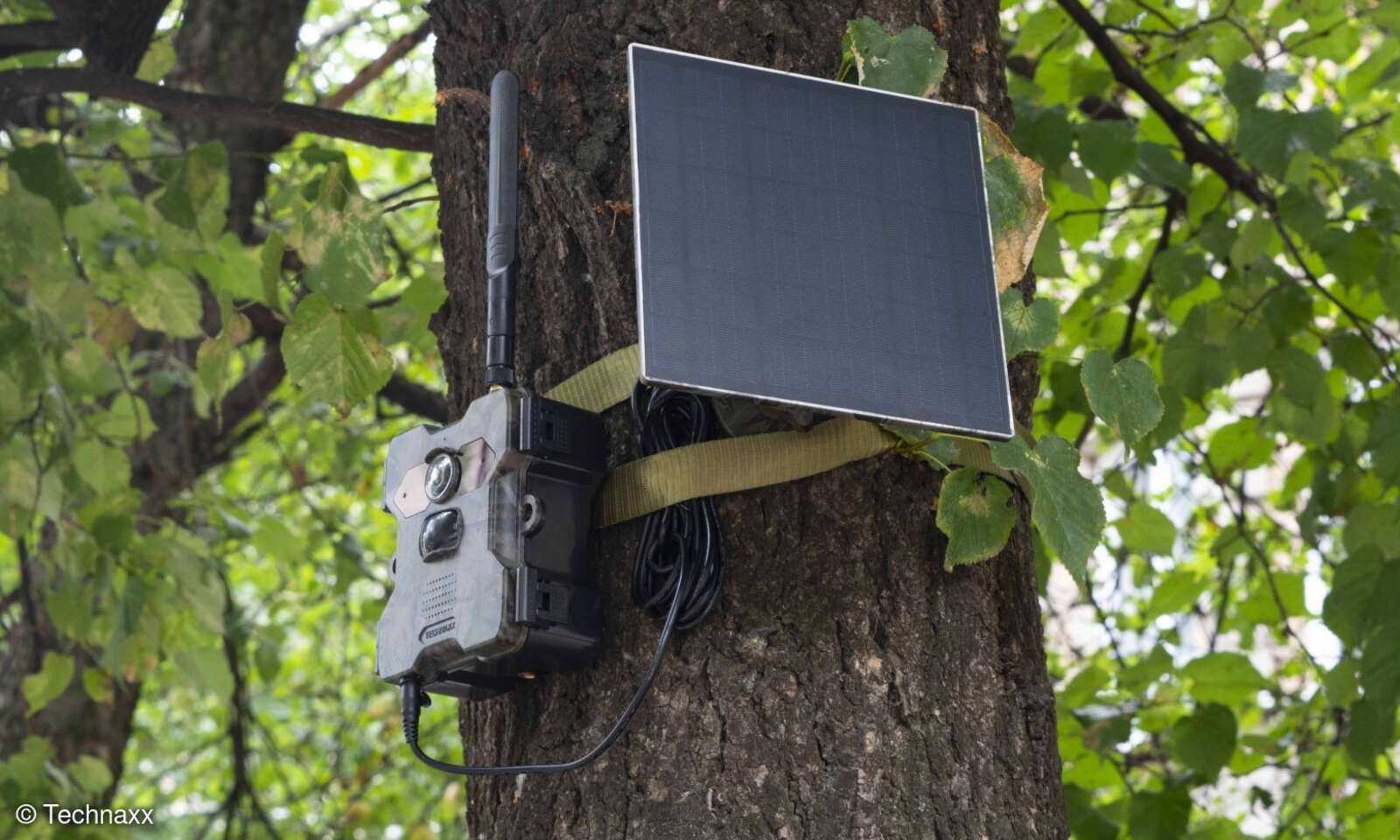 Technaxx TX-189: Überwachung ohne WLAN - connect