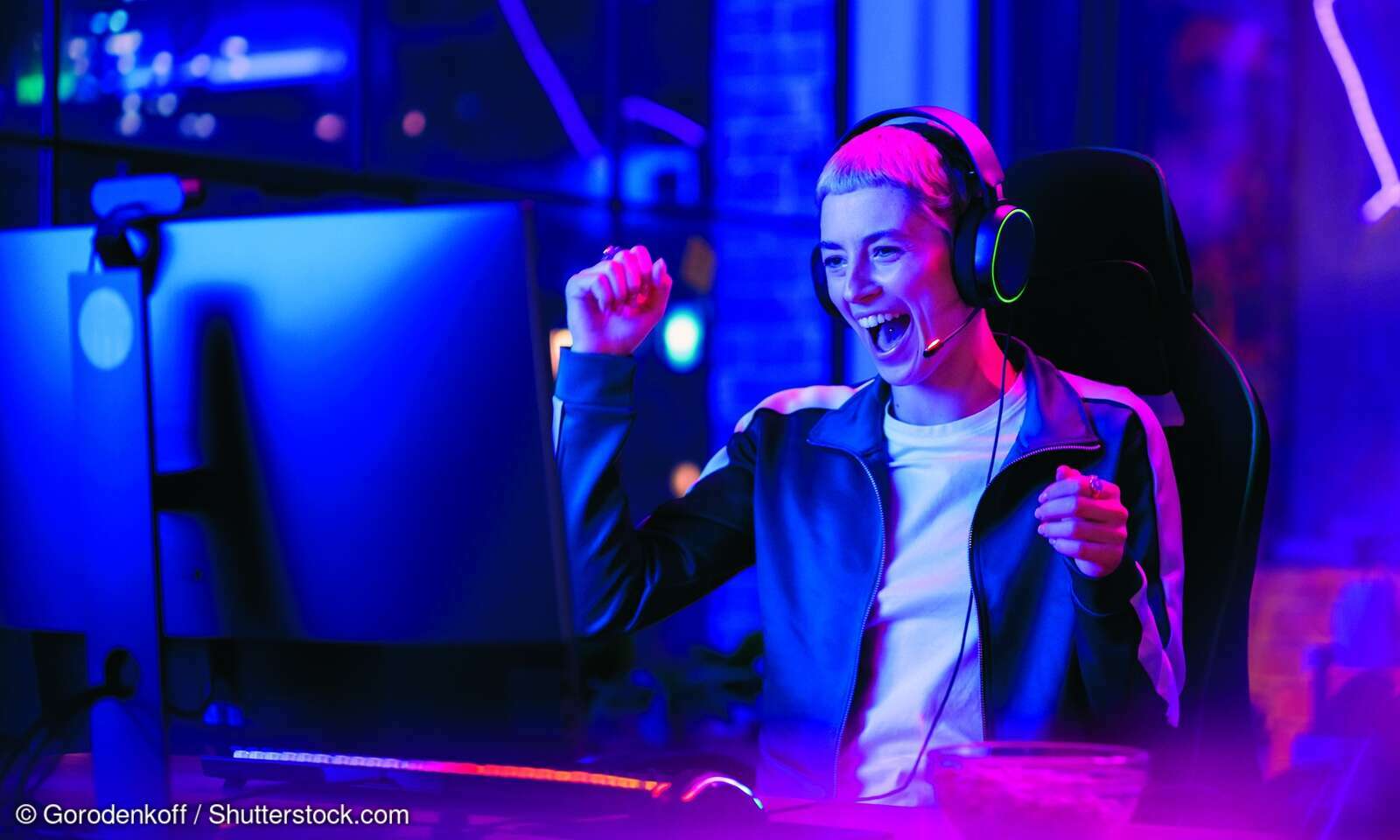 Plitch Premium im Test: Spielen nach den eigenen Regeln - connect