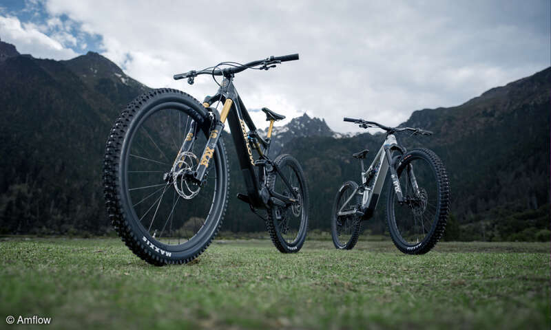 Neue E-Moutainbikes: Amflow launcht PL Carbon Modelle mit 105 Nm ...