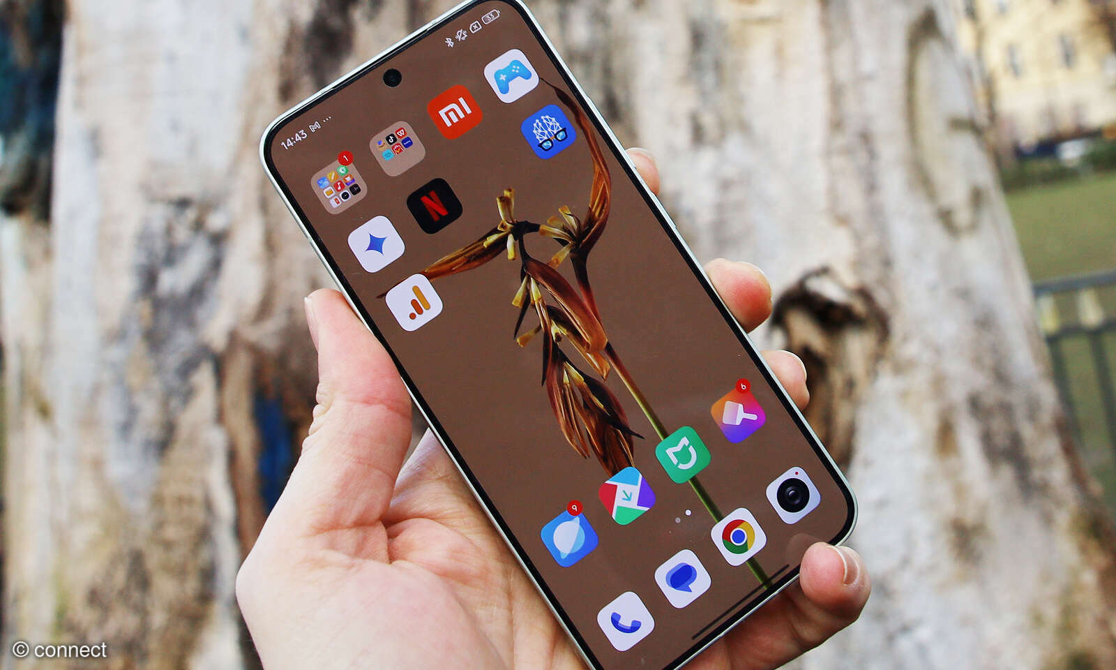 Xiaomi 15 ist das Smartphone-Highlight 2025 - connect