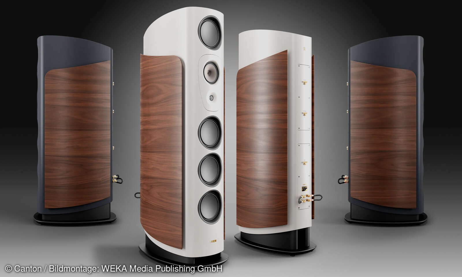 Canton Reference Alpha: High-End-Standlautsprecher mit ...