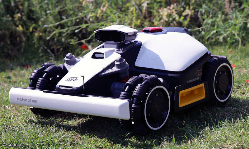 Mammotion Luba Mini getestet: Einer der besten Mähroboter, aber ...