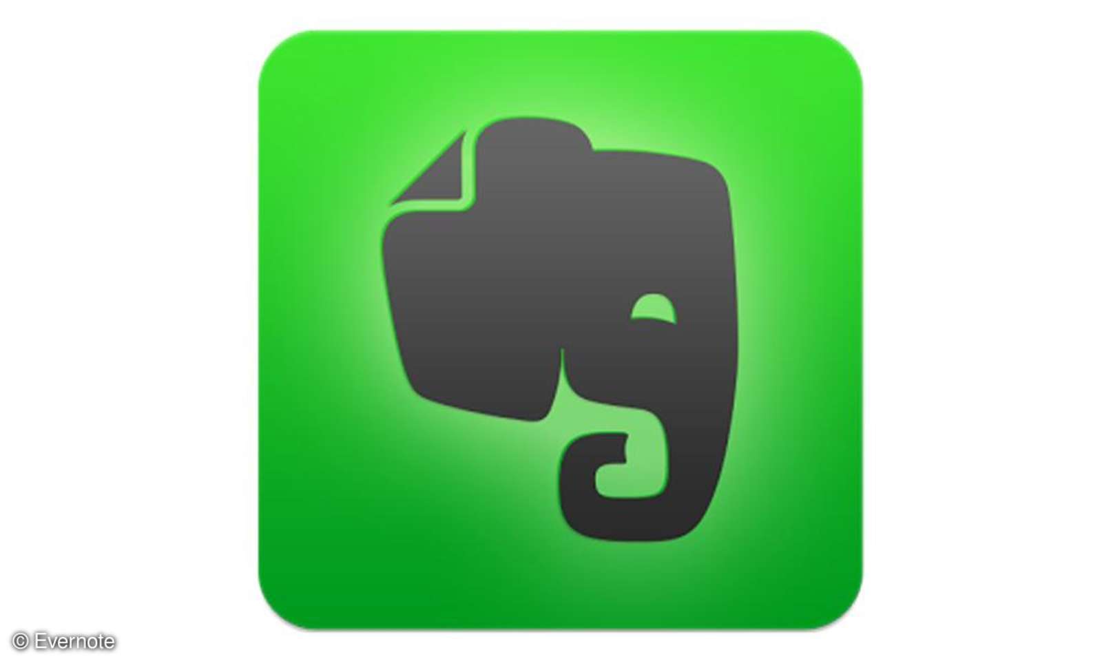 Evernote-Tipps: Wie Sie die App optimal nutzen - connect