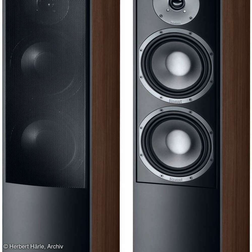Lausprecher Magnat Quantum 705 - connect